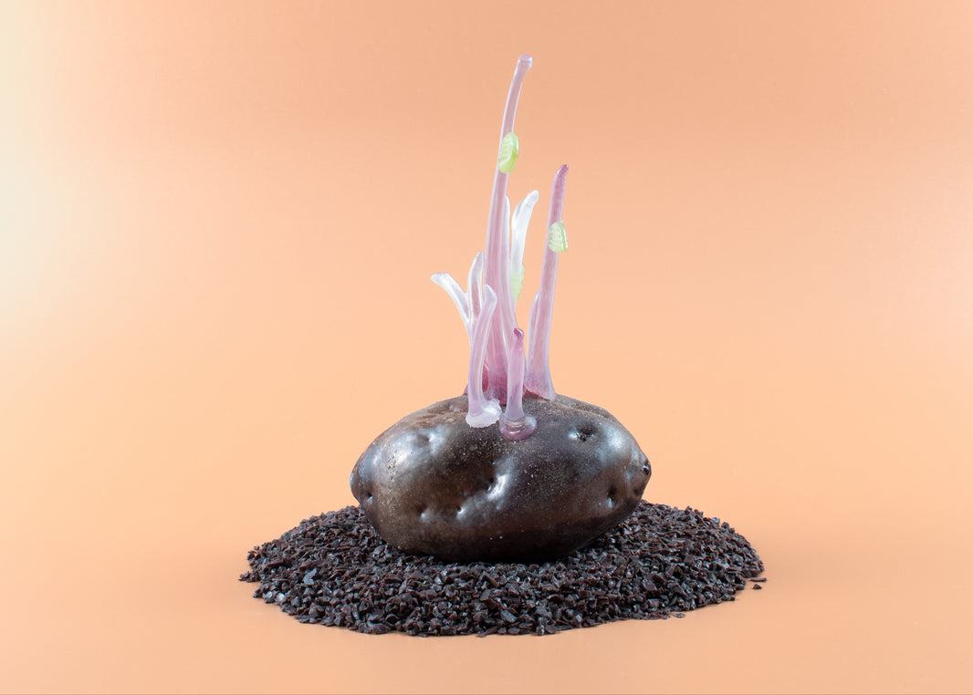 Forgotten Potatoes – Deborah Czeresko