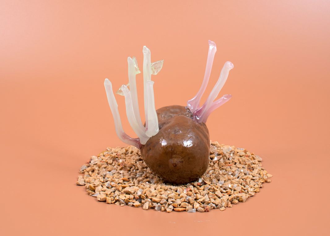 Forgotten Potatoes – Deborah Czeresko