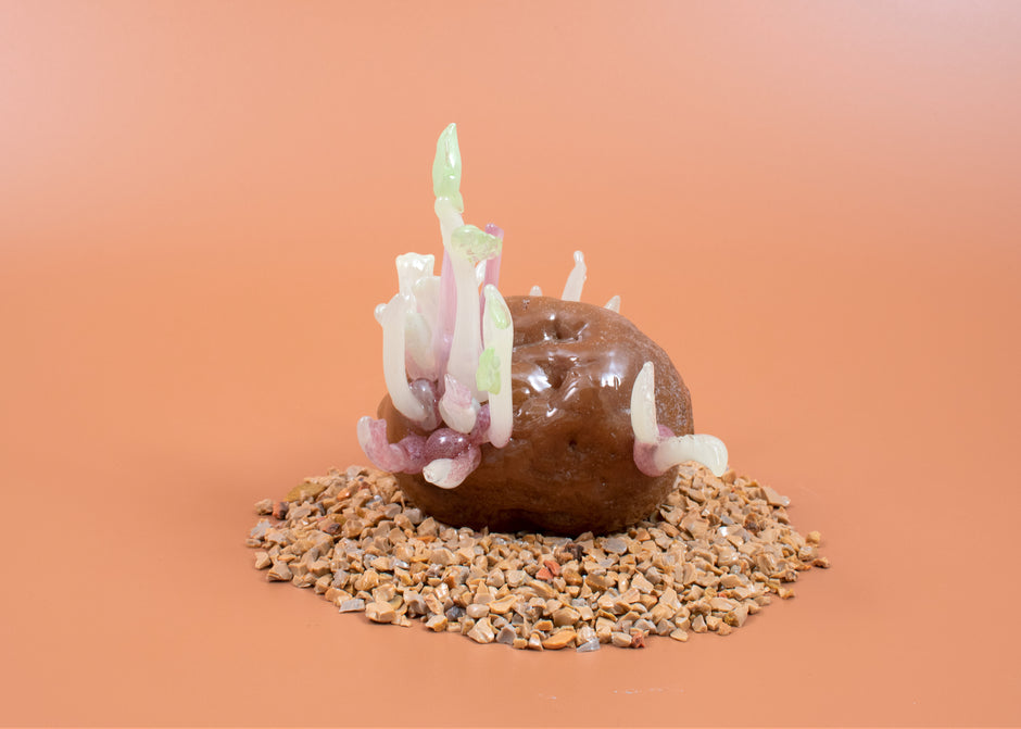 Forgotten Potatoes – Deborah Czeresko