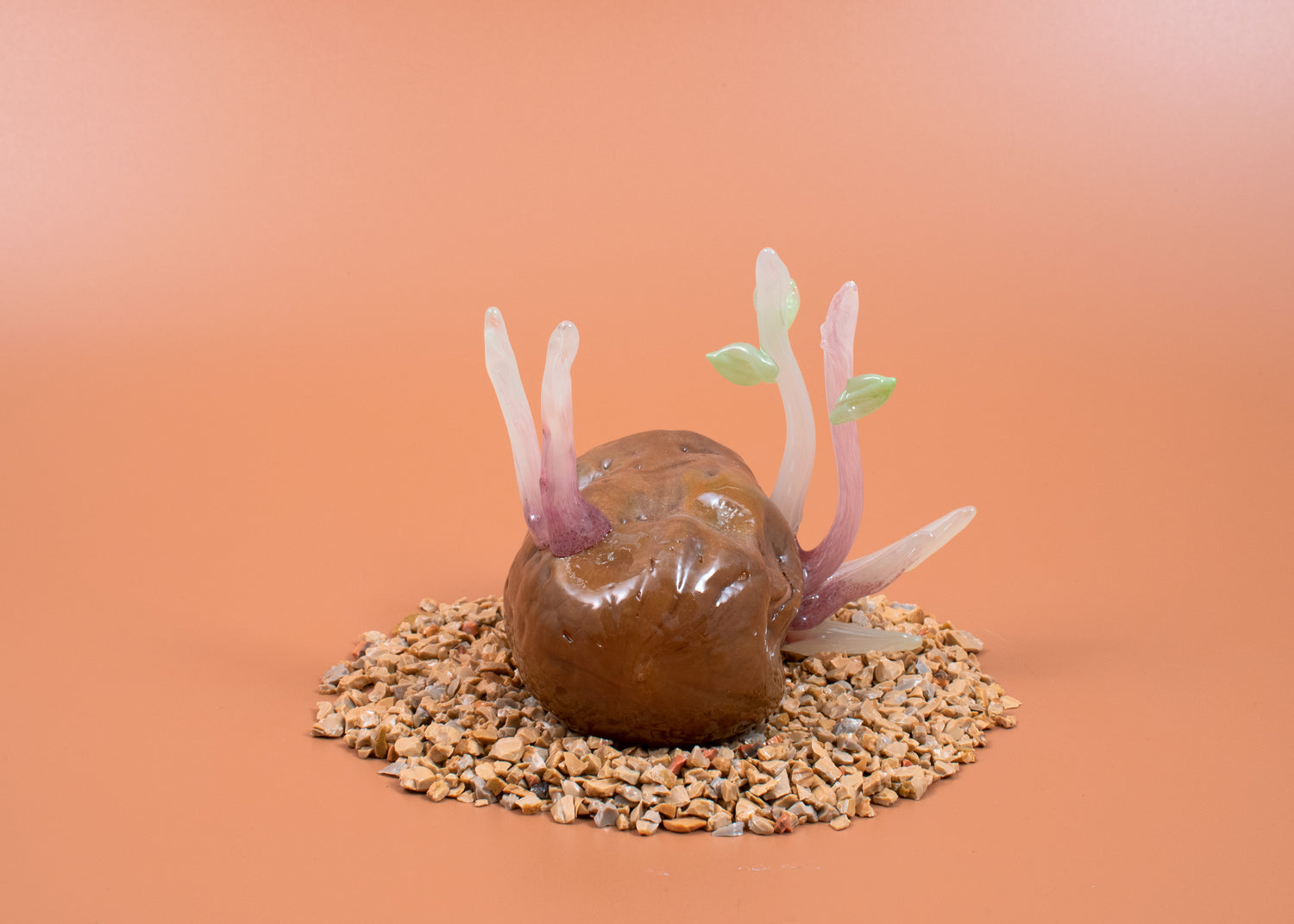 Collections – Deborah Czeresko